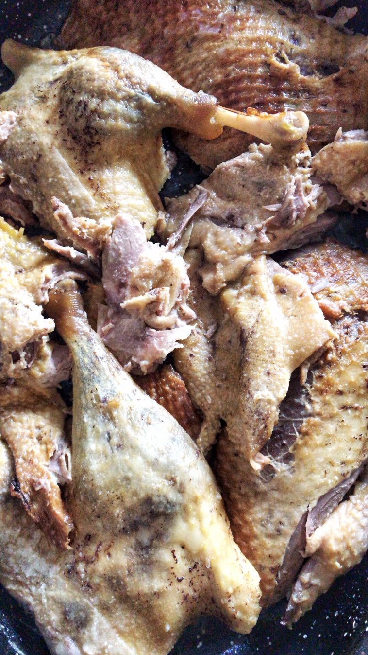 Ente und Gans perfekt und stressfrei - Holla die Kochfee