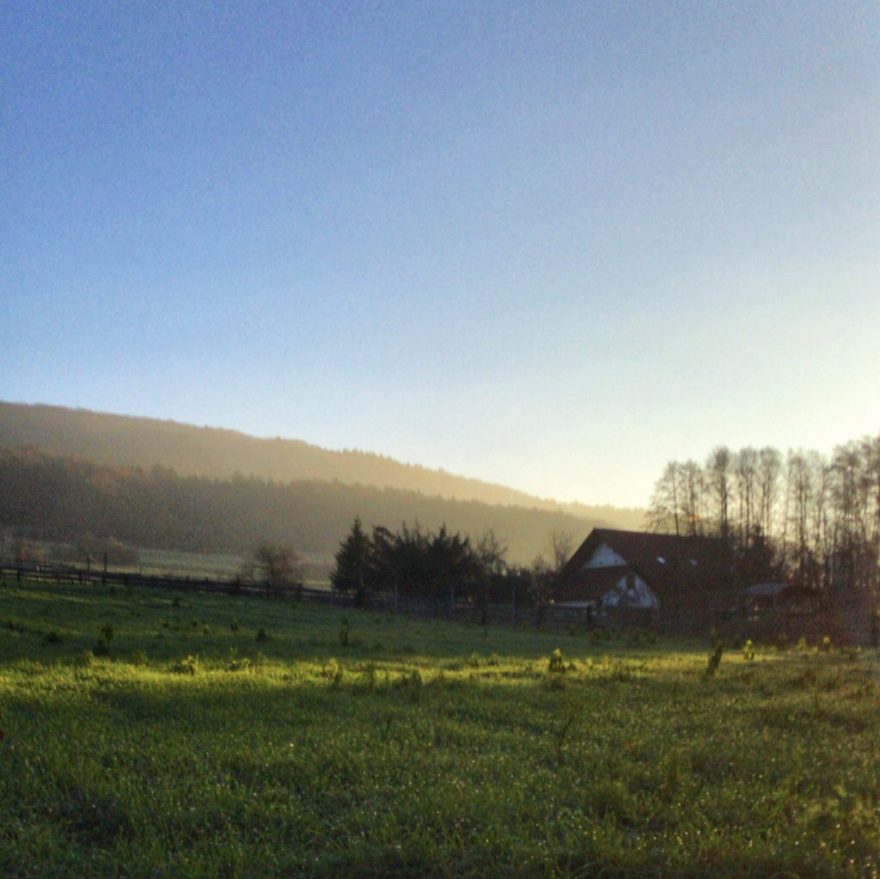 Bye bye 2018 - Holla die Kochfee